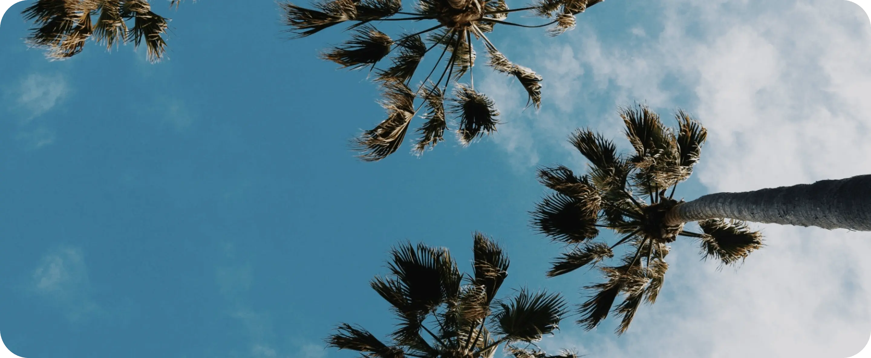 Fastest Mobile IV therapy in Brentwood, CA - Liquid Life